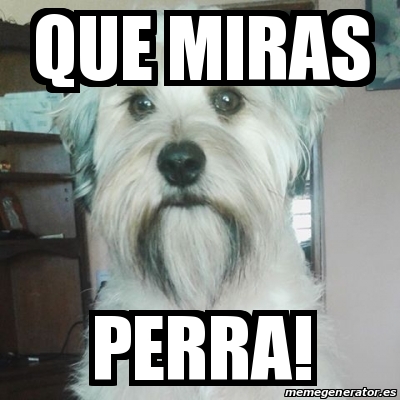 Meme Personalizado - que miras perra! - 18242492