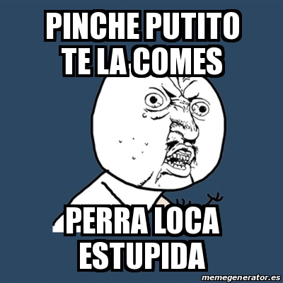 Meme Y U No - Pinche putito te la comes Perra loca estupida - 18260111