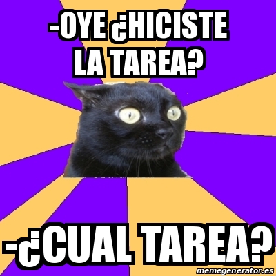 Meme Anxiety Cat - -Oye Â¿Hiciste la tarea? -Â¿cual tarea? - 18268256