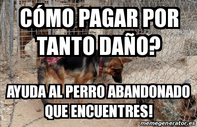 Meme Personalizado - CÃ³mo pagar por tanto daÃ±o? ayuda al perro ...