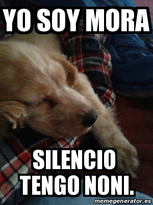 Meme Personalizado - Yo soy Mora Silencio tengo noni. - 18032962