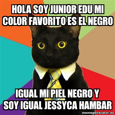 Meme Business Cat - hola soy junior edu mi color favorito es el negro ...
