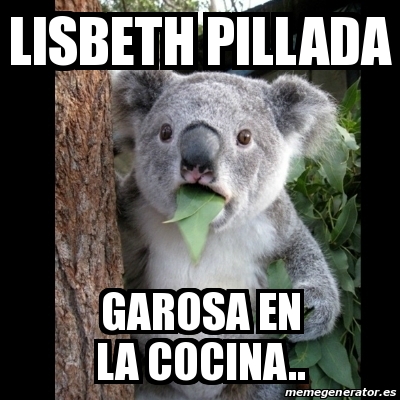 Meme Koala - LISBETH PILLADA GAROSA EN LA COCINA.. - 18367742