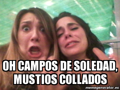 Meme Personalizado - Oh campos de soledad, Mustios collados - 18386691
