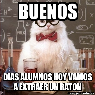 Meme Chemistry Cat - buenos dias alumnos hoy vamos a extraer un raton ...