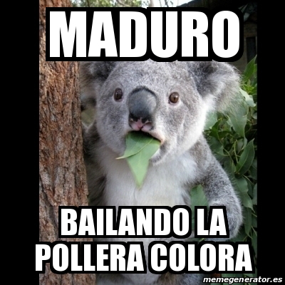 Meme Koala - maduro bailando la pollera colora - 18425447