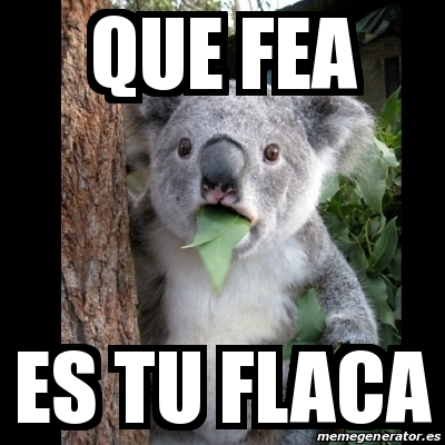 Meme Koala - que fea es tu flaca - 18441472