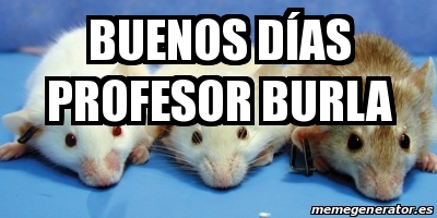 Meme Personalizado - Buenos días Profesor burla - 18483865