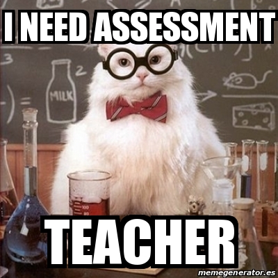 Meme Chemistry Cat - I NEED ASSESSMENT TEACHER - 18488177