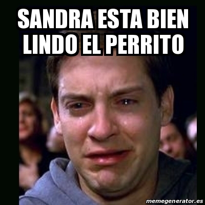 Meme crying peter parker - sandra esta bien lindo el perrito - 18495983