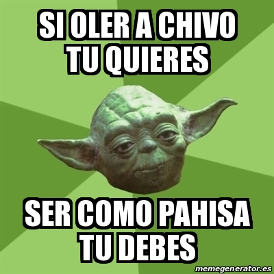 Meme Yoda - Si oler a chivo tu quieres ser como pahisa tu debes - 18503871