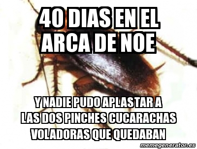 Meme Personalizado - 40 dias en el arca de noe y nadie pudo aplastar a ...