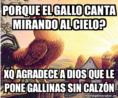 Meme Personalizado - Porque el gallo canta mirando al cielo? xq ...