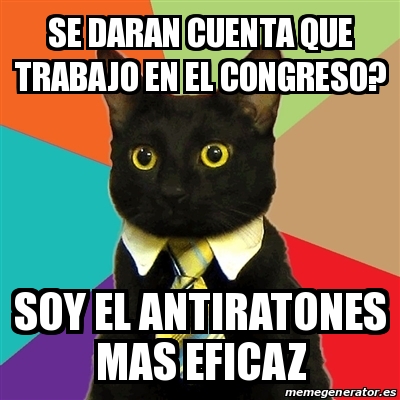 Meme Business Cat - SE DARAN CUENTA QUE TRABAJO EN EL CONGRESO? SOY EL ...