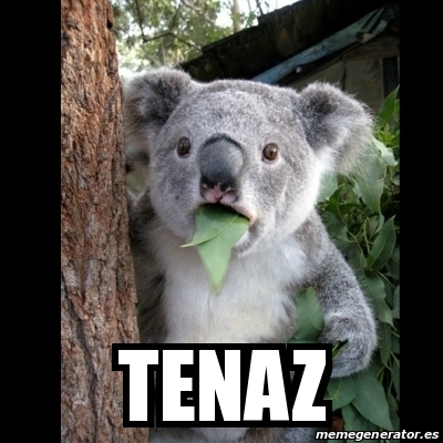 Meme Koala - Tenaz - 18538657