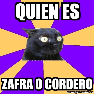 Meme Anxiety Cat - Quien es Zafra o cordero - 18571586