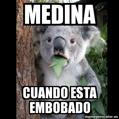 Meme Koala - medina cuando esta embobado - 18584087