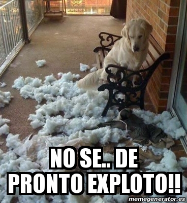 Meme Personalizado - no se.. de pronto exploto!! - 18637806