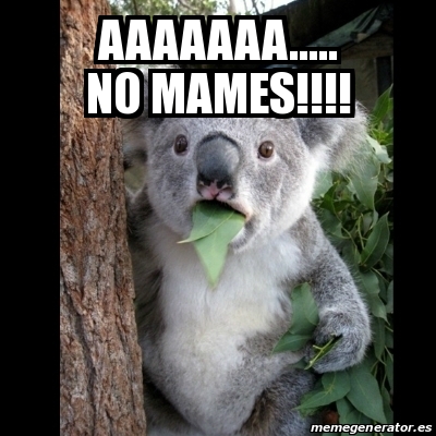 Meme Koala - aaaaaaa..... no mames!!!! - 18660110