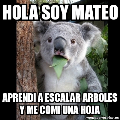 Meme Koala - HOLA SOY MATEO APRENDI A ESCALAR ARBOLES Y ME COMI UNA ...