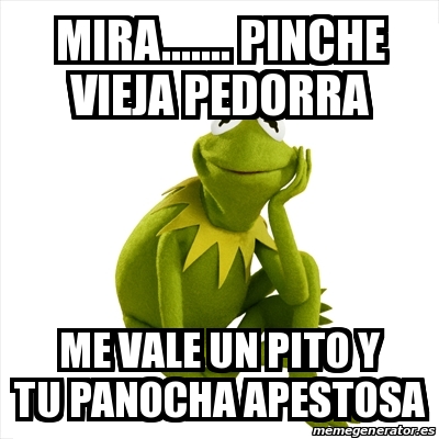Meme Kermit the frog - MIRA....... PINCHE VIEJA PEDORRA ME VALE UN PITO ...