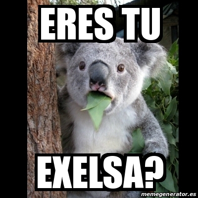 Meme Koala - Eres tu exelsa? - 18719548