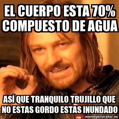 Meme Boromir - el cuerpo esta 70% compuesto de agua asÃ­ que tranquilo ...