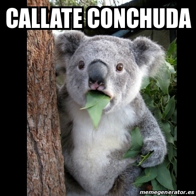 Meme Koala - CALLATE CONCHUDA - 18753181
