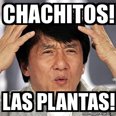 Meme Jackie Chan - chachitos! las plantas! - 18759225