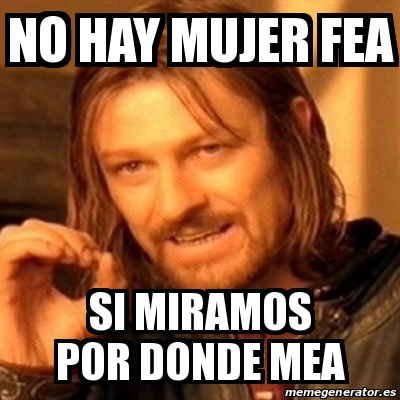 Meme Boromir - No hay mujer fea Si miramos por donde mea - 18082147
