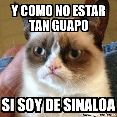 Meme Grumpy Cat - y como no estar tan guapo si soy de sinaloa - 18804936