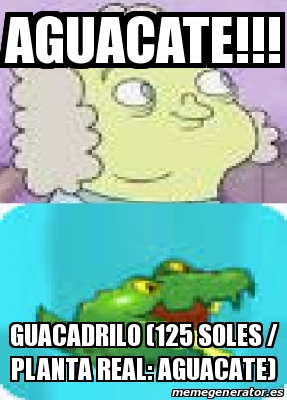 Meme Personalizado - aguacate!!! Guacadrilo (125 soles / Planta real ...