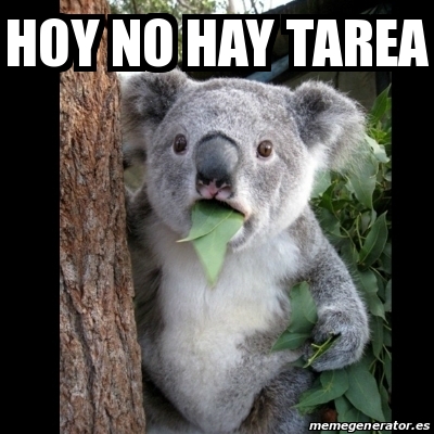 Meme Koala - hoy no hay tarea - 18828323