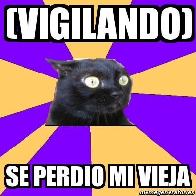 Meme Anxiety Cat - (VIGILANDO) SE PERDIO MI VIEJA - 18831510