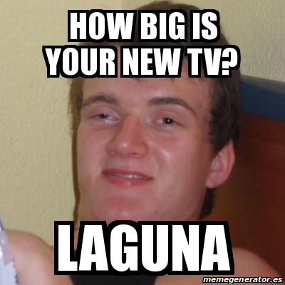 Meme Stoner Stanley - How big is your new TV? Laguna - 18837811