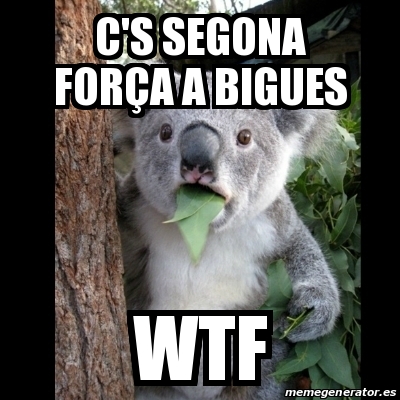 Meme Koala - C's segona forÃ§a a Bigues WTF - 18853634