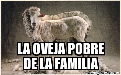 Meme Personalizado - la oveja pobre de la familia - 18862955