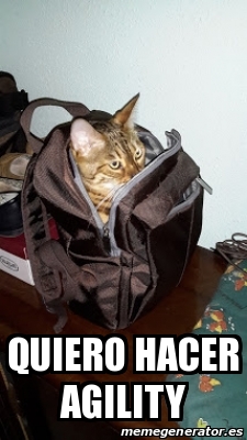 Meme Personalizado - quiero hacer agility - 18875707