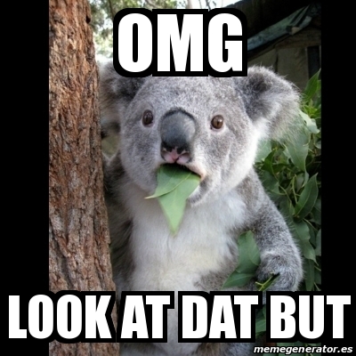 Meme Koala - OMG LOOK AT DAT BUT - 18896909