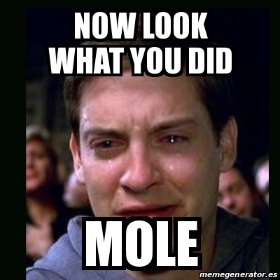 Meme crying peter parker - Now look what you did Mole - 18095862