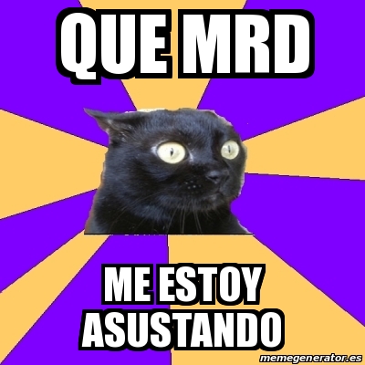 Meme Anxiety Cat - QUE MRD ME ESTOY ASUSTANDO - 18919855