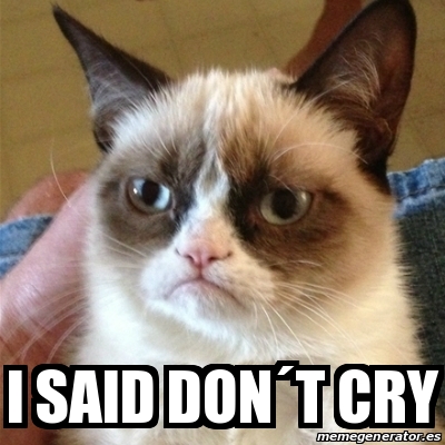 Meme Grumpy Cat - I SAID DONÂ´T CRY - 18940744