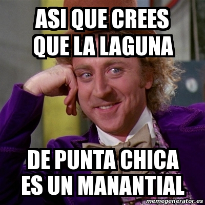 Meme Willy Wonka - asi que crees que la laguna de punta chica es un ...