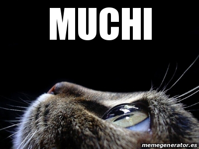 Meme Personalizado - muchi - 18948929