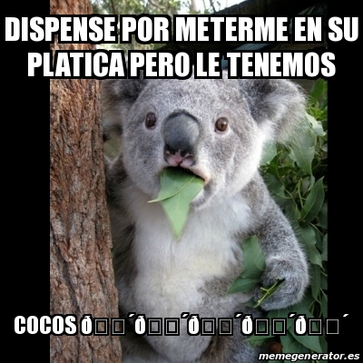 Meme Koala - Dispense por meterme en su platica pero le tenemos COCOS ...