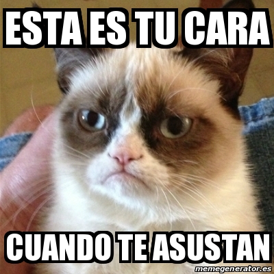 Meme Grumpy Cat - ESTA ES TU CARA CUANDO TE ASUSTAN - 18963284