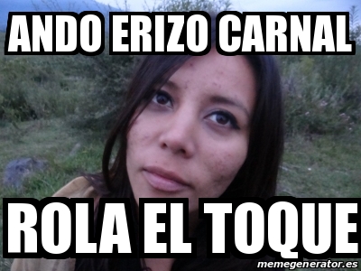 Meme Personalizado - ando erizo carnal rola el toque - 18983615