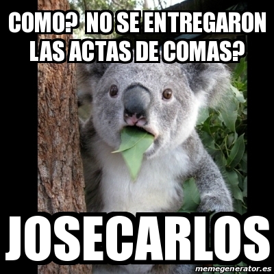 Meme Koala - Como? No se entregaron las actas de Comas? Josecarlos ...