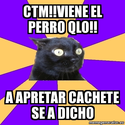 Meme Anxiety Cat - ctm!!VIENE EL PERRO QLO!! a apretar cachete se a ...
