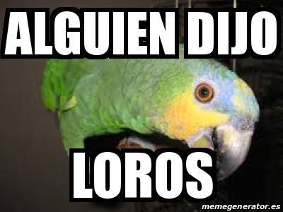 Memes Loro